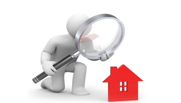 Steve Nicholson | Experienced Florida REALTOR | 941-400-6332